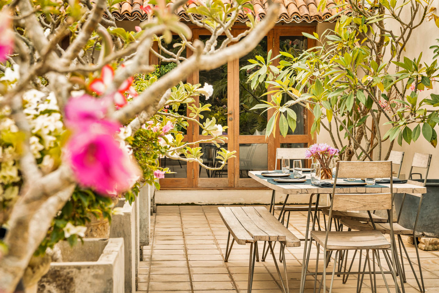 Ishq Colombo | Ceylon Haven | Best Rates Available